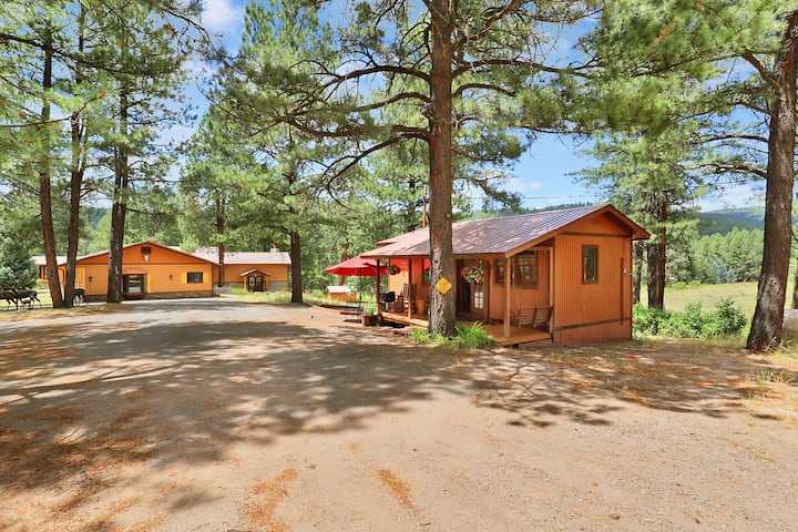 Trinity Springs ~ Mountain Oasis Game Room Hot Tub - Fenton Lake State Park, Jemez Springs