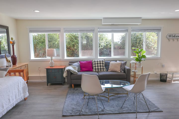 Convenient Lakeview 1 Bed 1 Bath Home In Bellevue - Issaquah, WA