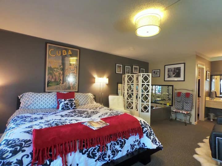 Jacuzzi Suite 204 - Tradewinds - Eureka Springs, AR