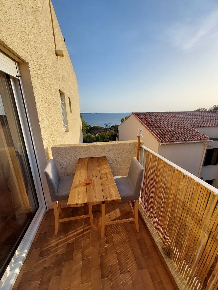 Hyeres, L'almanarre, Vue Mer Et Giens  ! - Carqueiranne