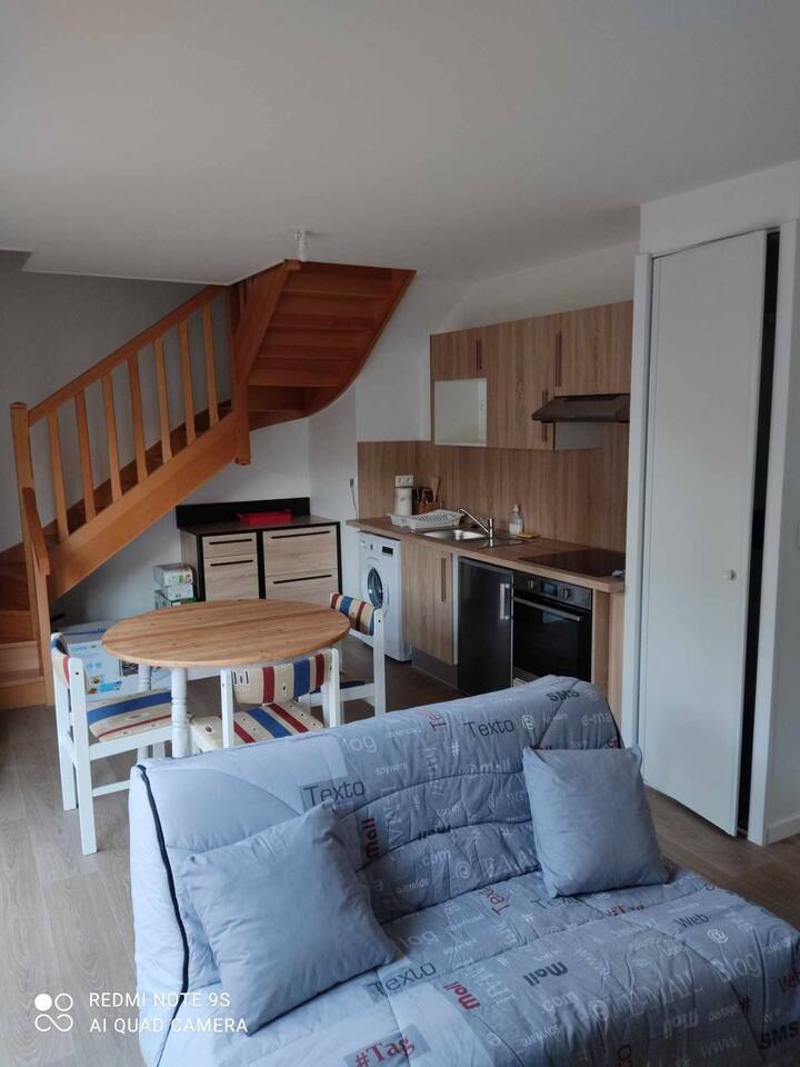 T2 Meublé Duplex Avec Jardin Villenave Dornon - Villenave-d'Ornon