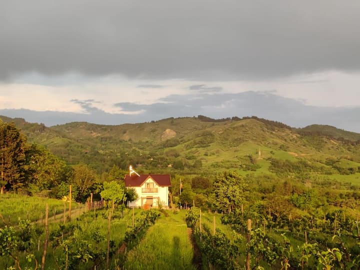 Deleni Retreat - Casa Sitaru - Comuna Berca