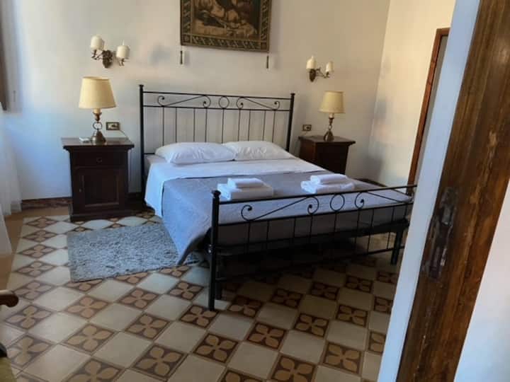 Single Room - Pisa