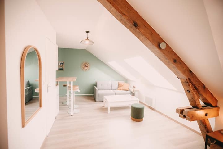 Appartement Spacieux, Charmant Quartier Médiéval - Besançon