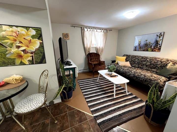 Cute Private Basement Studio - Brandon