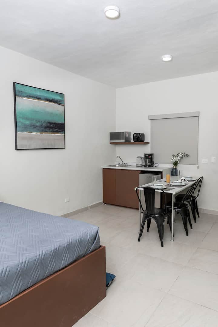 P1 / Centro Monterrey / Accesible / Loft Amplio - Monterrey