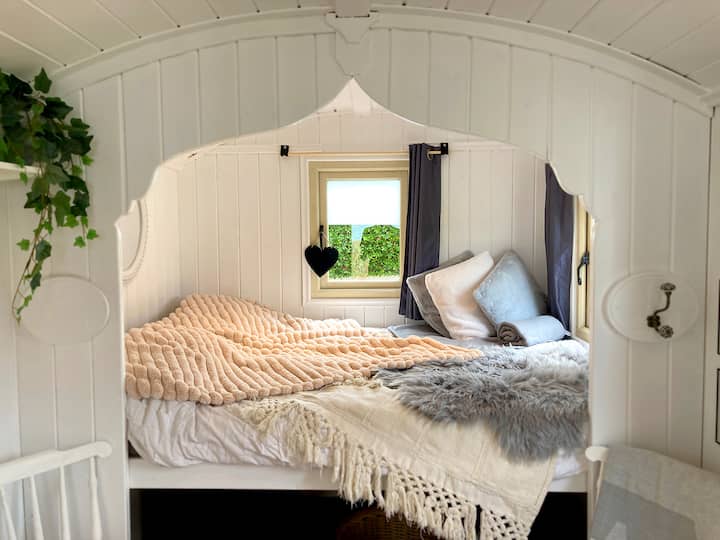 Lazydaze Shepherds Hut - Brixham