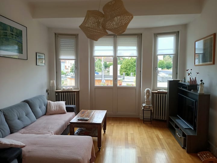 Appartement 1er éTage De Maison De Maitre - Marmoutier