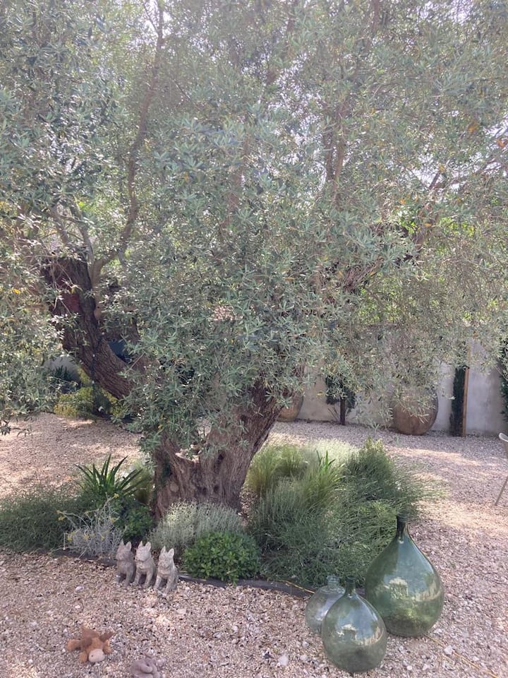 La Maison De Fanny - Saint-Rémy-de-Provence