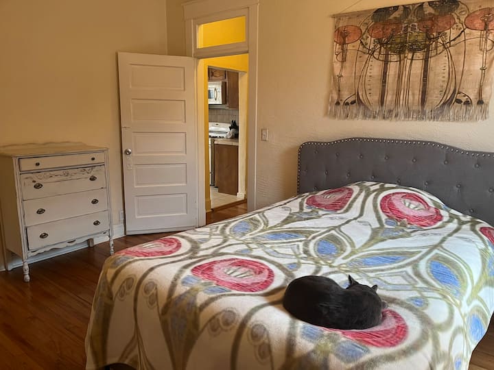 Huge Room, Private Bath, Garden - Old Town - Albuquerque