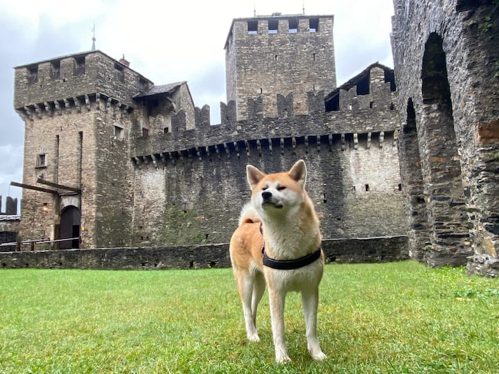 Bellinzona Ferienhaus Mit Charme La Casa Di Kokoro - Bellinzona