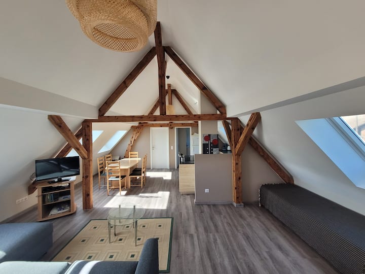 Appartement Cosy à La Campagne - Altkirch