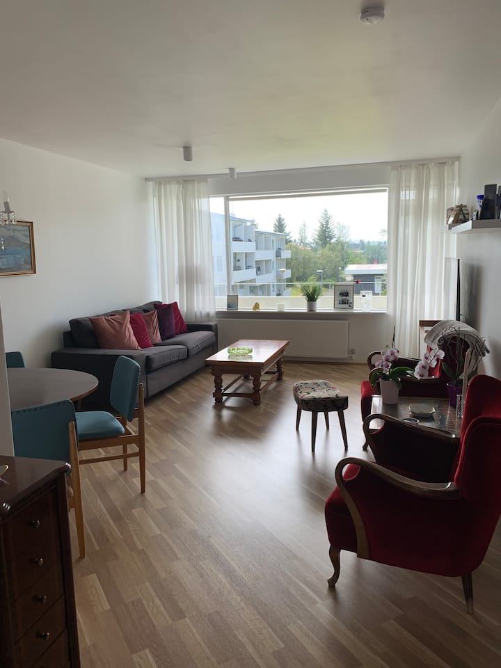 Cute And Convenient Apt. - 冰島
