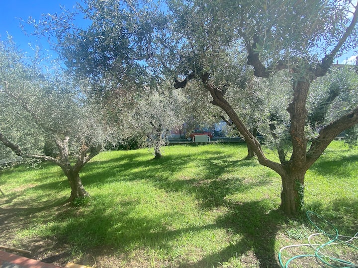 La Casa Di Rosabea - Sarzana