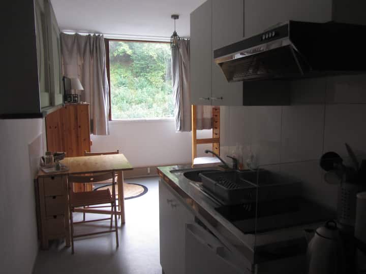 Studio 19 M2 à Louer Au Mont-dore - Mont-Dore