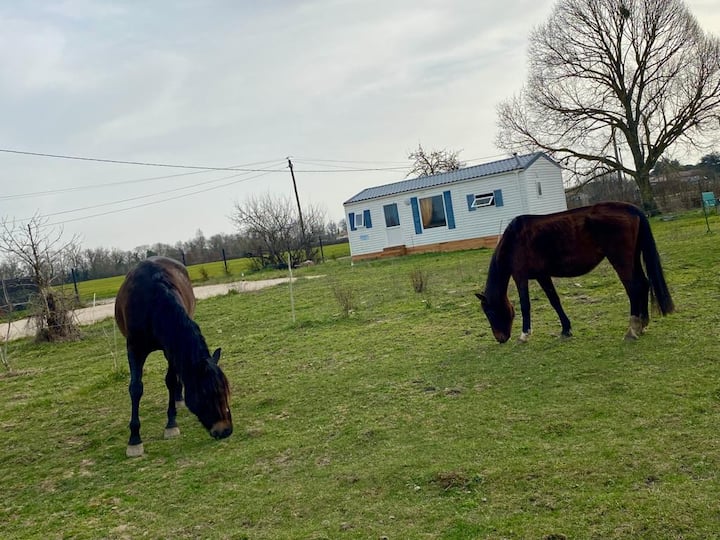 Mobil Home Au Coeur D'une Ferme - Tarn-et-Garonne