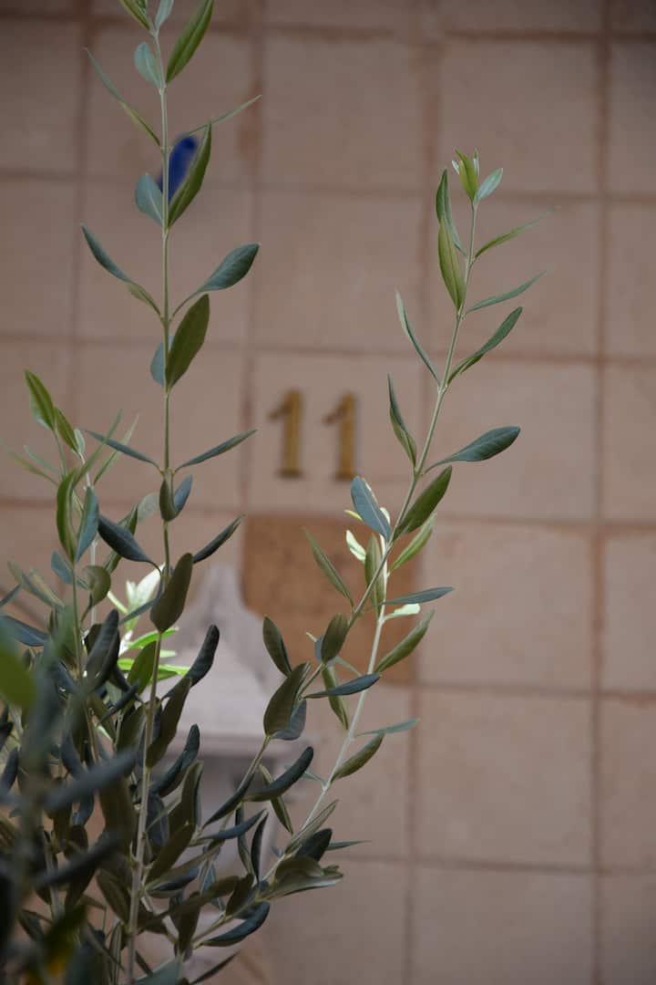 Casa Vacanze Civico 11 - Appartamento Ulivo - Mola di Bari