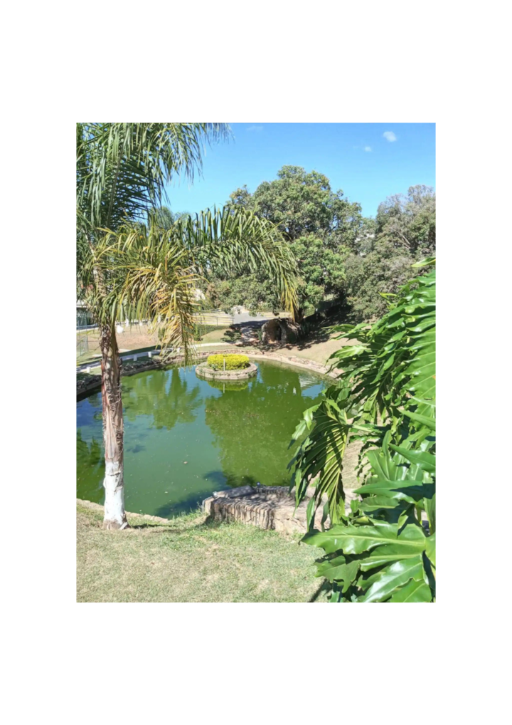 ÓTimo Refúgio Em Serra Negra-sp - Serra Negra