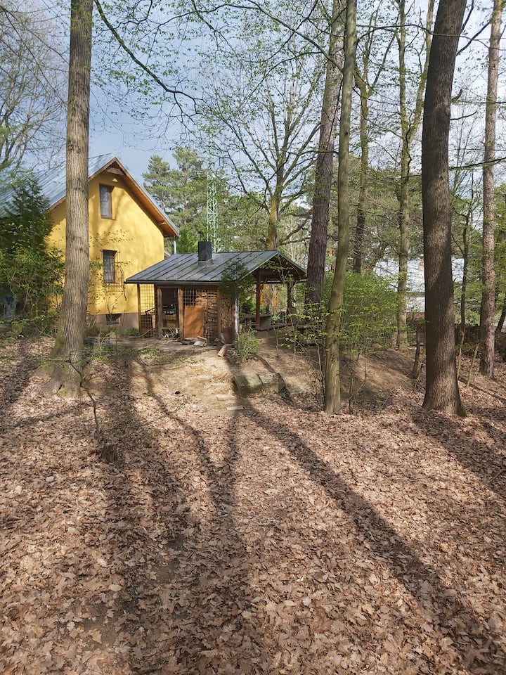 Chata Nad Kúpaliskom - Sielnica