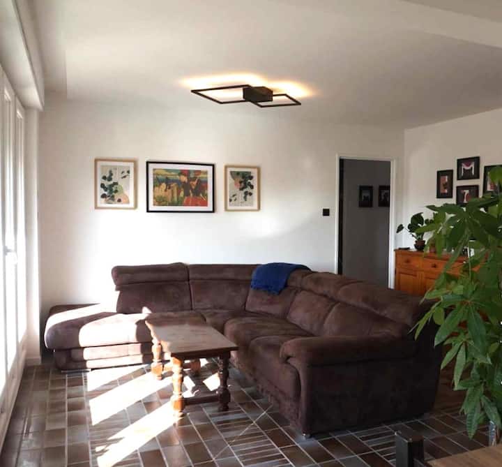 Chambre Dans Un Grand Appartement - Metz