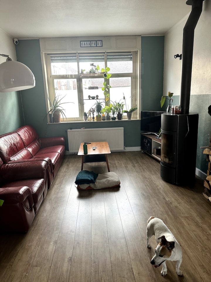 Cozy Room In A House With Garden - Faches-Thumesnil