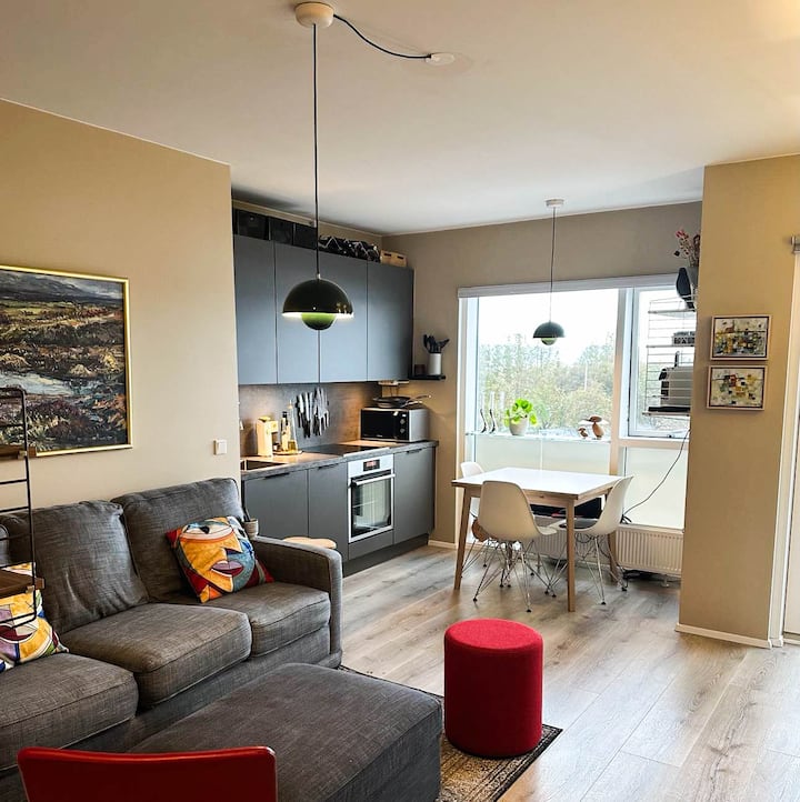 Cozy-modern 1-bed Apartment - Reykjavik
