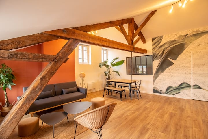 Loft Atelier Hyper Centre Albi - Albi