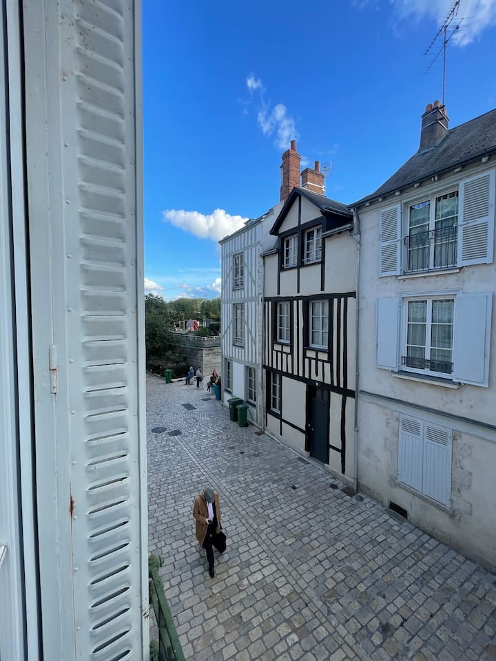 Appartement Ancien à Orléans - Saran