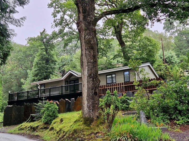 Luxury Holiday Lodge Woodland Setting In Snowdonia - Porthmadog