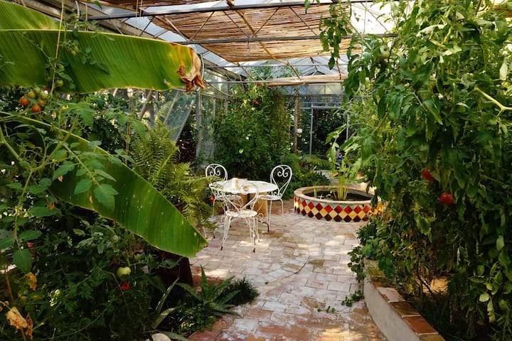 Mas Provençal Authentique "Les Herbes Libres" - Pernes-les-Fontaines