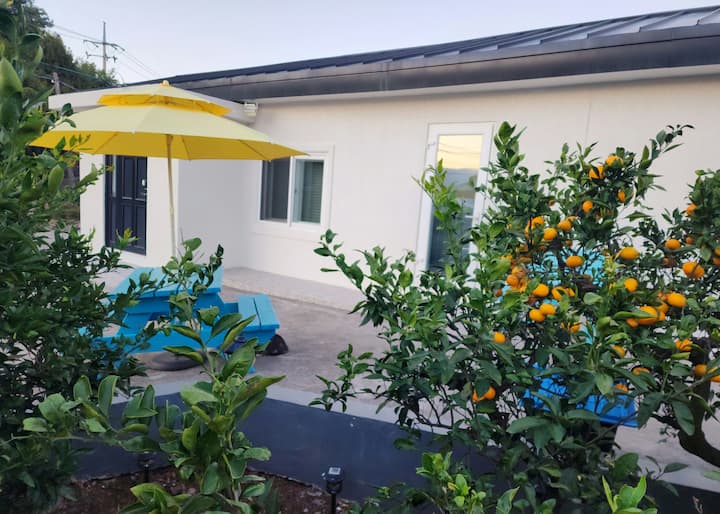 800평 귤밭속에 하얀 집 서귀포 <S E Haus>에서 아름다운 제주를 느껴보세요. - Jeju-do