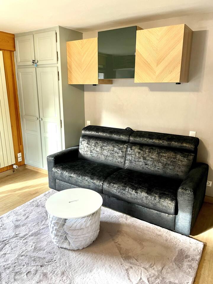 Studio Au Cœur Du Village - Montriond