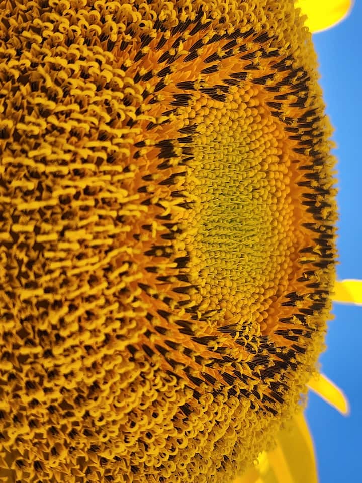 Two Bedroom Suite-peaceful Home - Boise, ID