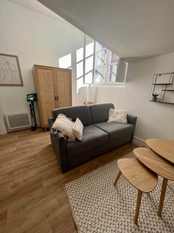 L'embarcadère Toulousain - T1 - Gare- Centre Ville - 圖盧茲