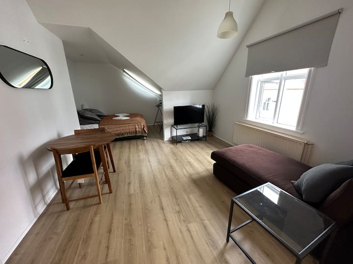 Down Town Studio Apartment - Reikiavik
