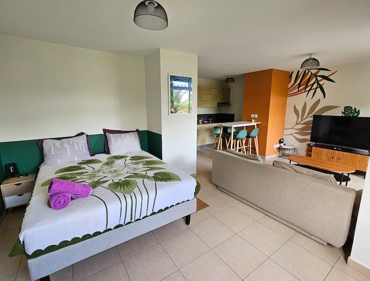 Studio Papeete City Center - Tahiti