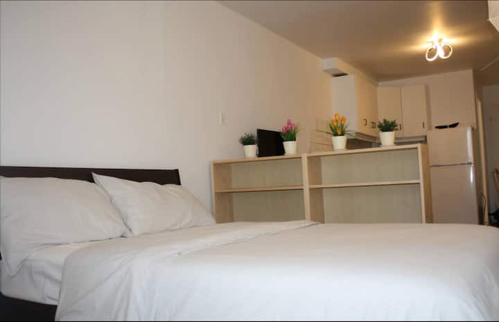 St-denis  I-1 Entire Studio In Heart Of Mtl - Montreal