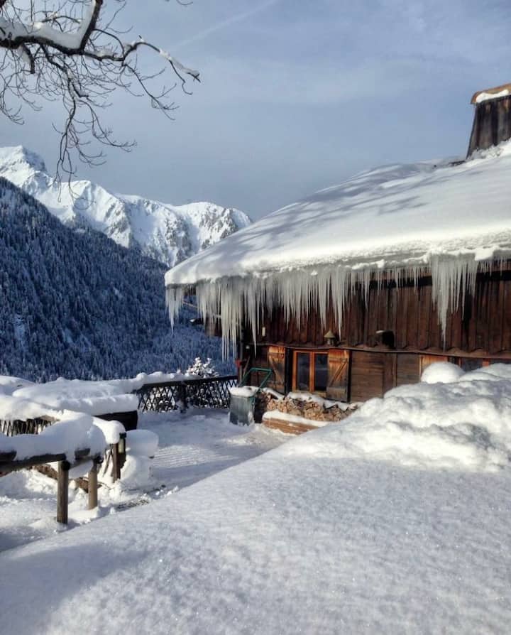 Cosy 3 Bedroom Chalet In Châtel - Châtel