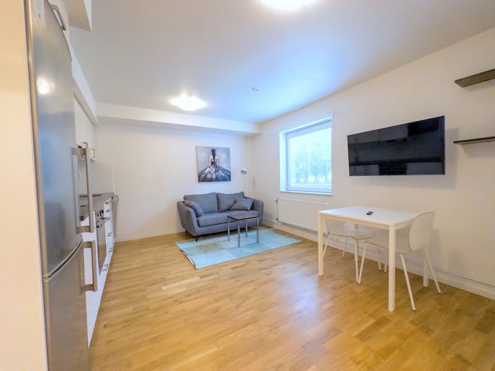 Small One Bedroom Apartment - Stockholm