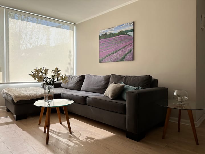 2 Dormitorios En Suite, Luminoso - Vitacura