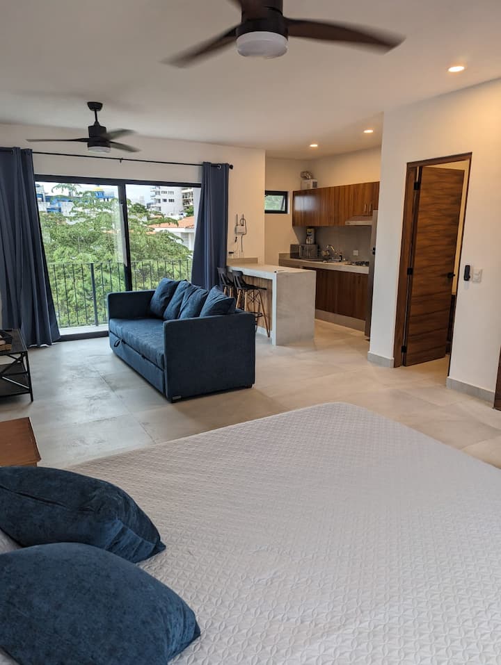 Lovely Studio Downtown - Puerto Vallarta