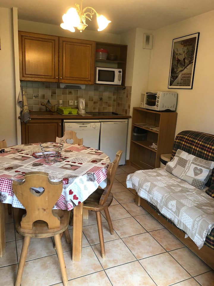Les 2 Alpes 29m2 + Pied Des Pistes - L'Alpe d'Huez