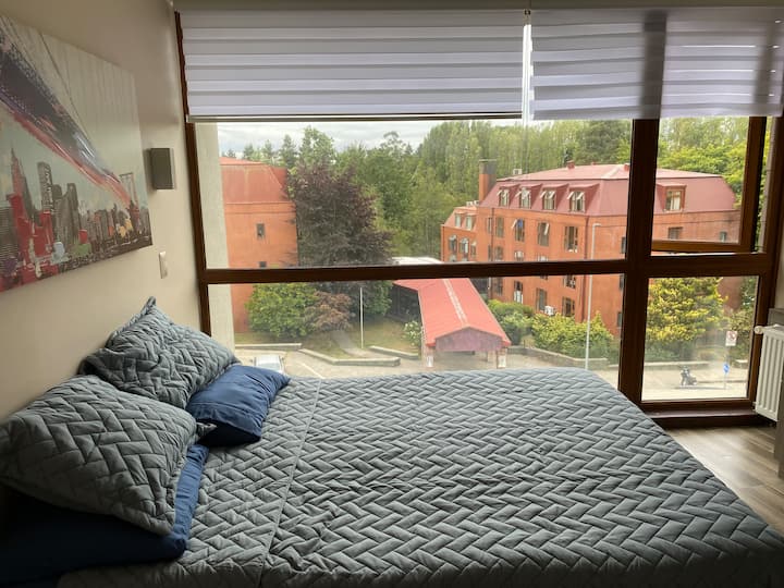 Departamento Isla Teja - Valdivia