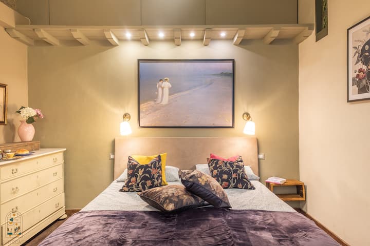 Spacious Central Apt With Two Bathrooms - Lucca