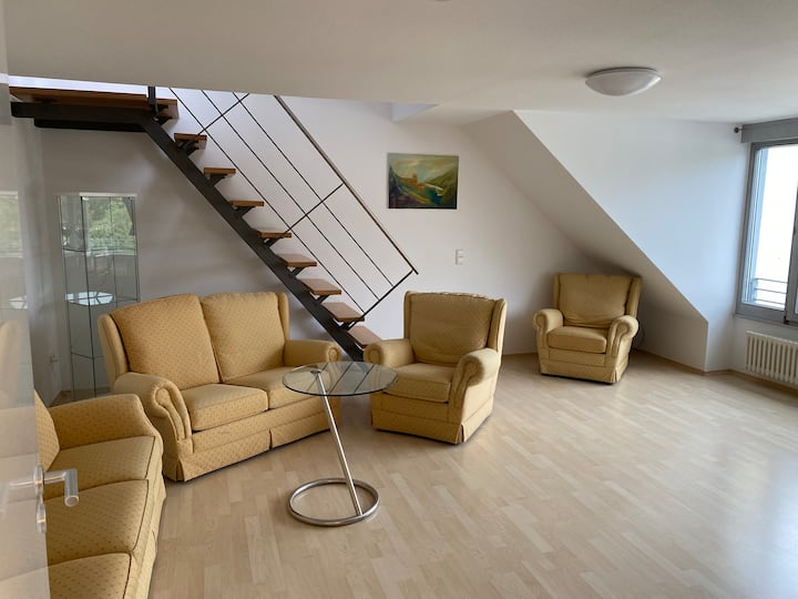 Cosy Maisonette With River View - Heidelberg