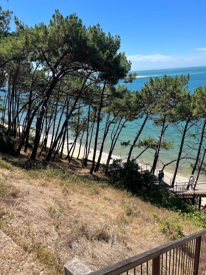 Appart Centre Arcachon Ac Jardin - Arcachon