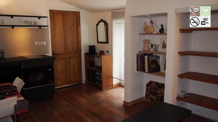 Coeur Cité Des Papes Intra Muros Avignon 2 Pièces - Avignon