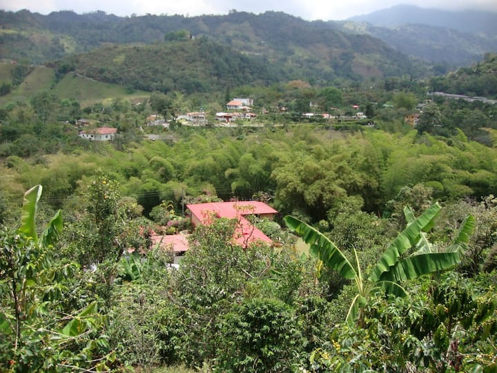 Santa Helena. - La Vega