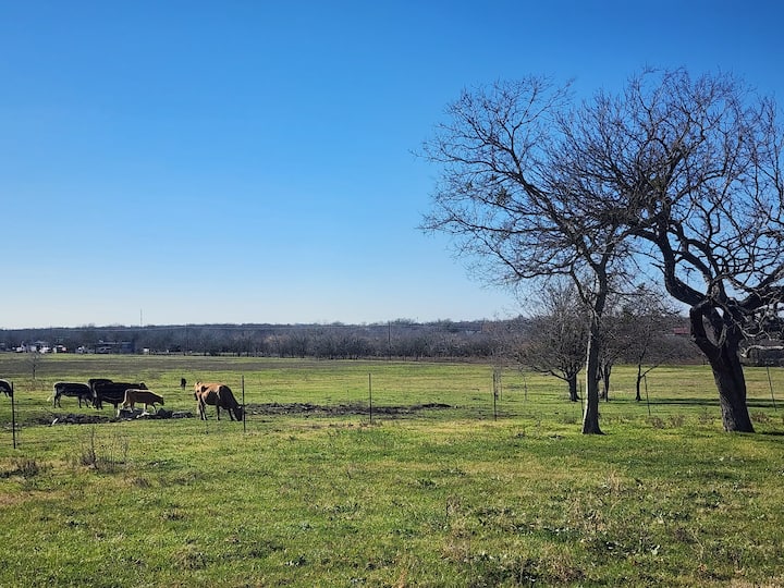 Rv Spot2 W/ Hookups By Austin Cota, Tesla, Airport - Cedar Creek, TX