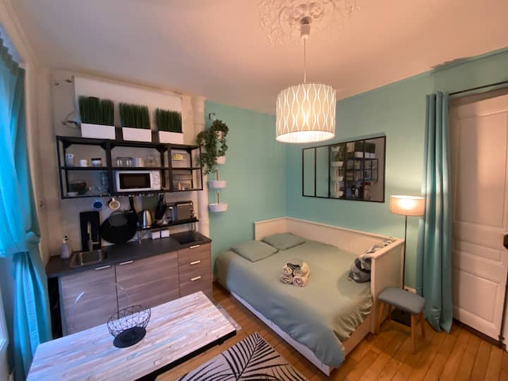 Studio Proche Bois De Vincennes - Charenton-le-Pont